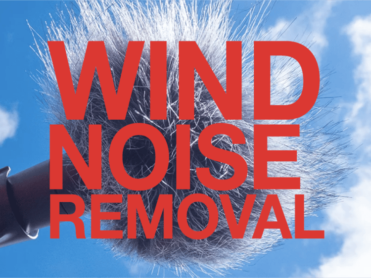 Wind, Construction and Traffic Noise Removal plus Other Noise Reduction ...