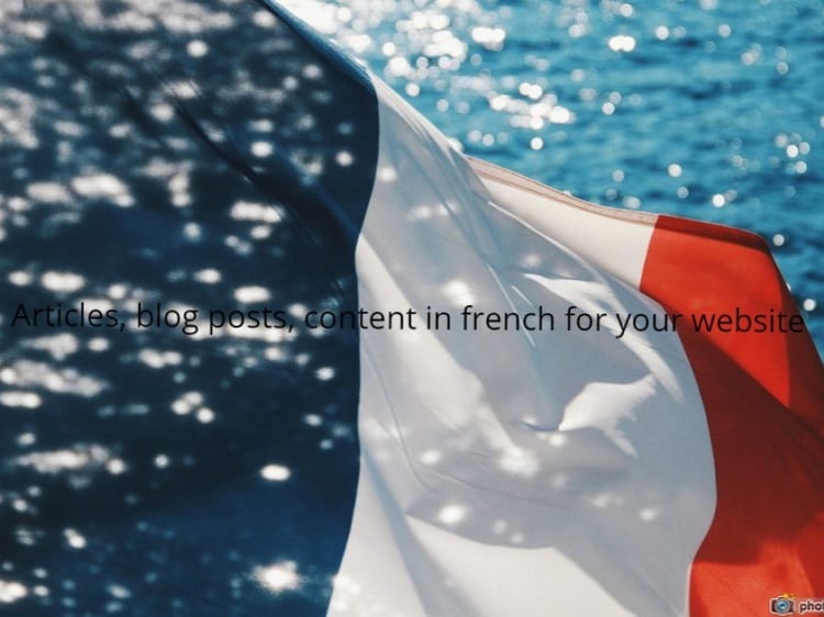 A Well written Article Or Content In French Upwork