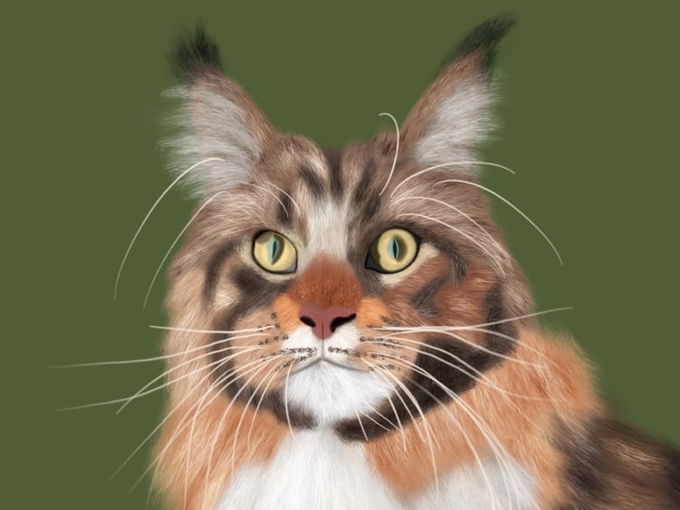 A beautiful digital portrait of your cat | Upwork