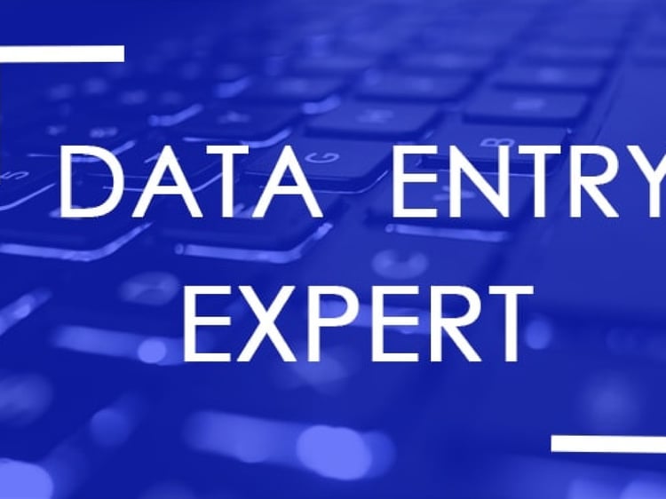 Data Entry Work Excel Typing Copy Paste Tasks Upwork 7279