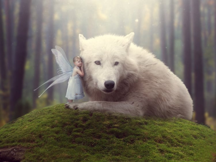 An amazing photoshop composition | Upwork