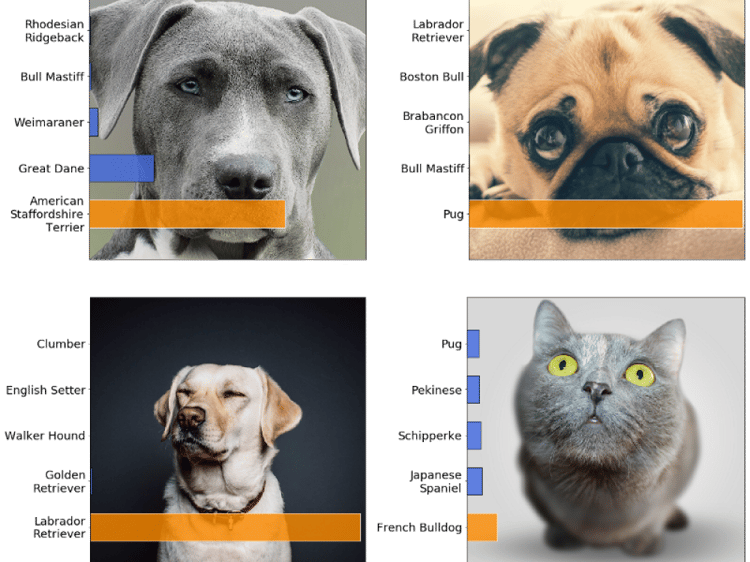 A Fantastic Image Classification Model With Over 90 Score Upwork 9581