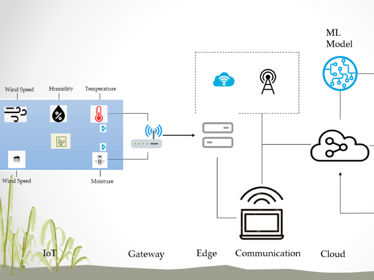 Embedded and IoT based solution with Pcb design. | Upwork