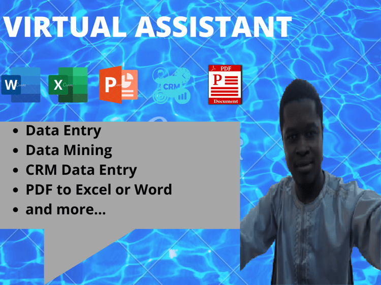 An accurate data entry, data mining and PDF to word convertion and more ...