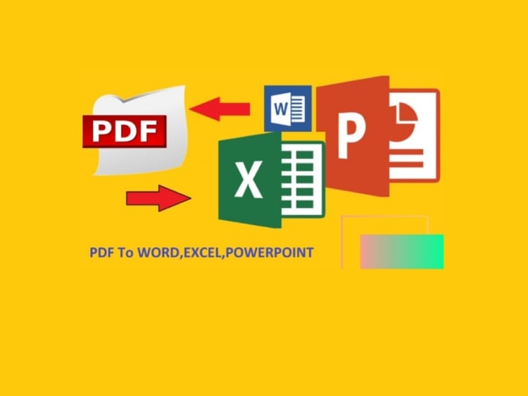 pdf-image-converted-in-word-excel-upwork