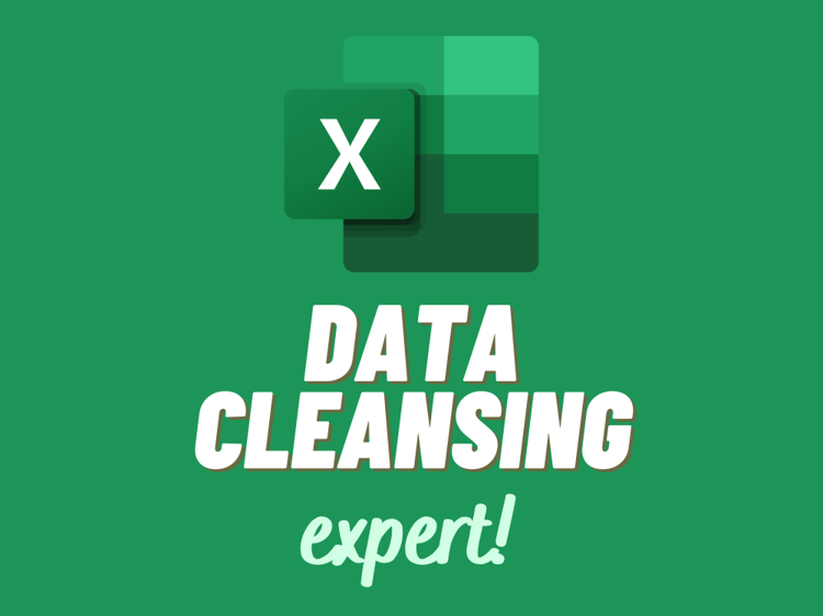 A professionally formatted & cleansed data from raw, unorganized csv ...