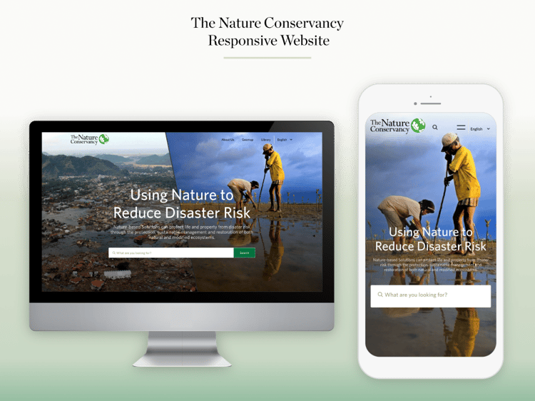 Beautiful website and application designs tailored to meet your need ...