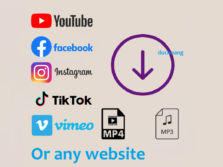 Online video download from any website for you | Upwork