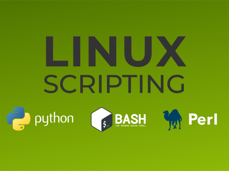 A Linux Script In Bash Or Python Upwork